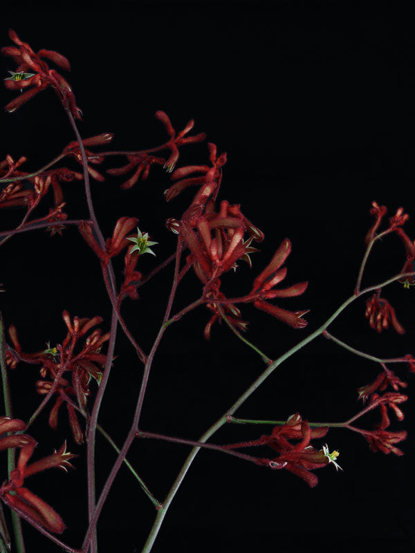 Bounce Art Print | AW19 ODYSSEY | Canvas Wall Art | Urban Road